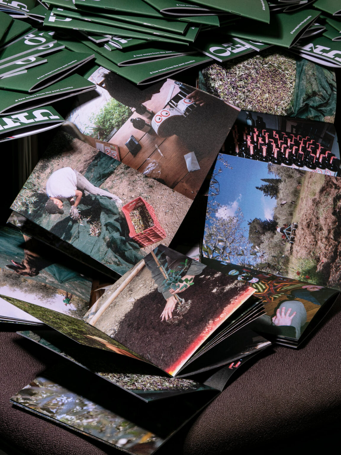 Studio Bergini – Graphic design for arts, culture, and business